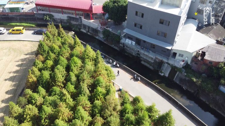 中科落羽松 | 台中網美IG拍照打卡地點 | 台中景點 - 肉比頭Zoebitalk